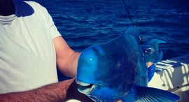 Captain Danny Hampson | Adventure IO